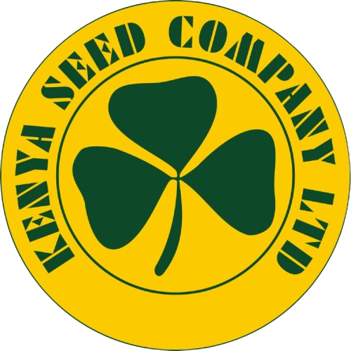 Kenya Seed Company Ltd - Top Quality Seeds
